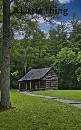 A Little Thing by C_Carver at Inkitt