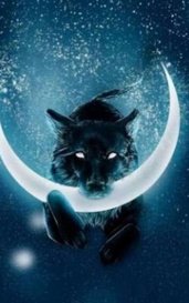 The Reader Powered Book Publisher - Inkitt